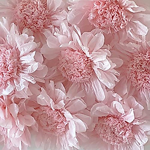 Colors of Rainbow Gift Wrapping Tissue Paper (48 Sheets, 20 Inch x 14.5 Inch) for Gift Baskets, Gift Bags, Packing, Craft, Moving, Baby & Bridal Shower, Wedding, Office Supplies (Blush Light Pink)