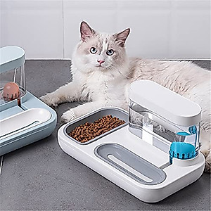ZLXDP Pet Cats Bowl Dog for Cats Feeder Transparent Bowls Kitten Automatic Drinking Fountain 1.5L Capacity Puppy Feeding Waterer (Color : Blue)
