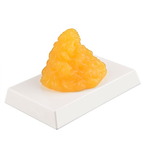 Human Body Fat Replica 1 lb with Display Base, Keep Fit & Weight Loss Motivation & Reminder, Human Fatty Tissue Demonstration Model for Nutritionist