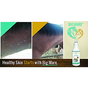 Big Mare Horse Medicated Body Wash | Clinically Proven Effective for Girth Itch, Scratches, Hives, Rain Rot, Dry, Irritated Skin & Hair Loss | Veterinary Approved & Recommended 32 oz Bottle
