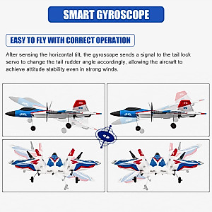 Leopmase RC Plane 4 Channel Remote Control Airplane Fighter, F-22 RC Plane Ready to Fly,Stunt Flying Upside Down,Two Rechargeable Batteries,Great Gift Toy for Adults or Kids