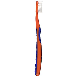 NCAA Florida Gators Toothbrush