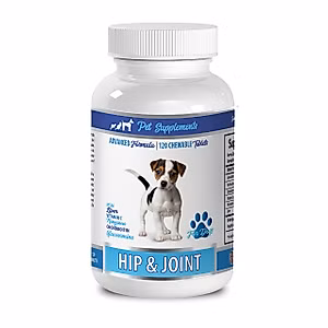 pet Joint Supplement for Dogs - Healthy Hip and Joint - for Dogs - Powerful Formula - CHEWABLE - pet glucosamine - 1 Bottle (120 Tablets)