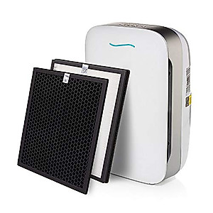 Climestar Premium H13 Grade True HEPA and Pre-Filters Compatible Replacement for Alexapure Breeze Air Purifiers AP-B102 and 3049 filter set