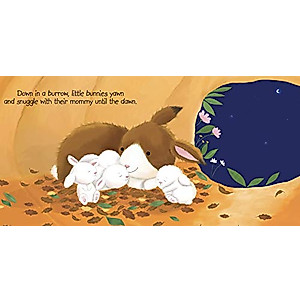 Night, Night to the Animals - Children's Padded Board Book - Bedtime Animals