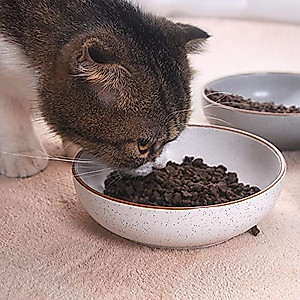 Ceramic Cat Bowls, Howise Pet Bowl Cat Dishes for Food and Water, 5.3 in Cat Food Dish 3 Pack Cat Food Bowls Set Small Dog Dish, Matte White Finish