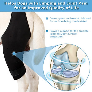 Noillow Dog Knee Brace, Dog Leg Brace for Sprain ACL, CCL, Arthritis - Keeps The Joint Warm and Stable, Leg Wounds Care and Prevent Licking, Dog Rear Leg Luxating Patella Brace-Right-L