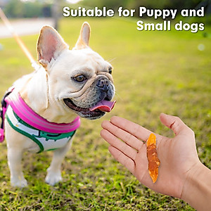 MON2SUN Dog Treats Rawhide Free Chicken Wrapped Sweet Potato Dog Snacks, Gluten & Grain Free Dog Treats for Puppy and Small Dogs, (Chicken, 10 Ounce -Pack of 1)