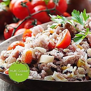 Panasonic SR-G06FGL Rice, Steamer & Multi-Cooker, 3-Cup (Uncooked), 3 Cups 6 Cups Cooked, Silver