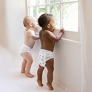 Parasol Clear+Dry™ Diaper Pants | Natural Training Diaper | Pure Ingredients, Water Based Ink, Non-Woven Fabric with Dermatest Excellent Seal | Rash Protection Diaper Set, Size 5 (26+ lbs.) 96 Count