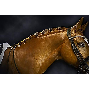 Exhibitor's Quic Braid for Total Mane & Tail Control 16 oz Spray