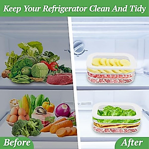 Feunu Deli Meat Container for Fridge, 3pcs BPA-Free Rectangular Lidded Box with Flip Top Lid, 18.6oz Each, 5x6 inches