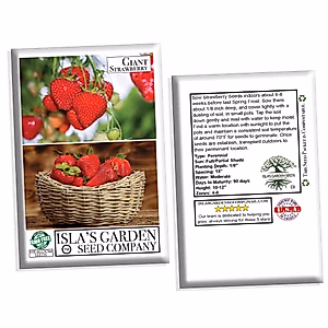 Giant Strawberry Seeds for Planting, 50 Heirloom Seeds Per Packet, (Isla's Garden Seeds), Non GMO Seeds, Botanical Name: Fragaria vesca, Great Home Fruit Garden Gift