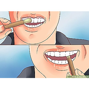 10 x Al Falah Miswak Traditional Natural Manual Toothbrush Sewak Vacummed & Packed