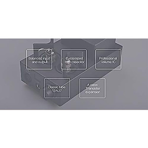 XDUOO TA-20 High Performance Balanced Tube Headphone Amplifier Power Amplifier (Black)