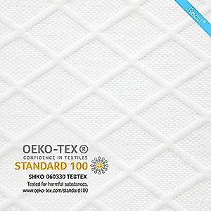 RECCI 2 Inch Mattress Topper Cover Queen Size (Only Cover), Breathable Bamboo Viscose Mattress Topper Protector, Washable Mattress Topper Encasement with Zipper & Adjustable Straps (Queen, White)