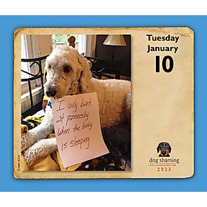 Dog Shaming 2023 Day-to-Day Calendar