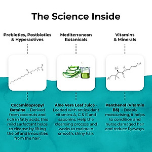 TEMPLESPA | GOOD HAIR DAY | Luxury Hair Shampoo for Smooth and Healthy Looking Hair Natural Ingredients, Free from Parabens, Phthalates and Sulphates, Cruelty-Free, Vegan 5.0 fl.oz.