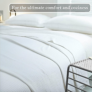 Tex Trend 100% Cotton Blanket King Size for Bed - Classic Fall Blanket, Lightweight, Thermal, Breathable, Soft Woven Blanket for All Seasons, White, 90x108 Inches