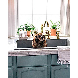 Kingston Brass KS3792AXBS Restoration Bridge Kitchen Faucet, 9", Polished Brass