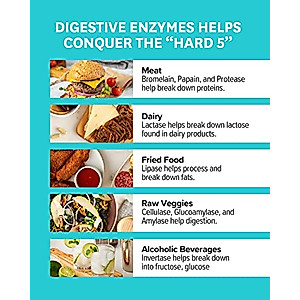Zenwise Probiotic Digestive Multi Enzymes, Probiotics for Digestive Health, Bloating Relief for Women and Men, Enzymes for Digestion with Prebiotics and Probiotics for Gut Health - 180 Count