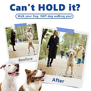 Supet Dog Prong Collar, Adjustable Dog Training Pinch Collar with Quick Release Buckle for Small Medium Large Dogs(Packed with One Extra Links)