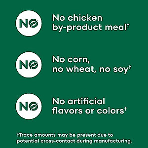 NUTRO Mini Bites Dog Treats Peanut Flavor, 8 oz. Bag