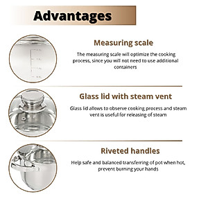 Daniks Standard Stainless Steel Stock Pot with Glass Lid | Induction 2 Quart | Dishwasher Safe Pot | Measuring Scale | Soup Pasta Stew Pot | Silver