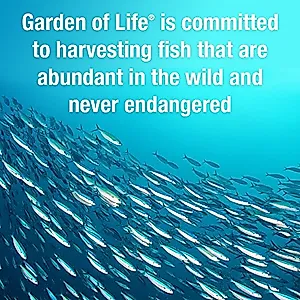 Garden of Life Ultra Pure EPA/DHA Omega 3 Fish Oil - Oceans 3 Better Brain Supplement with Antioxidants, 90 Softgels