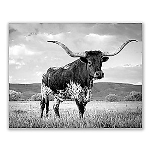 Black and White Texas Longhorn Prints - Set of 2 (11x14 Inches) Glossy Minimalist Monochromatic Barn Farm Cow Western Rustic Farmhouse Wall Art Decor