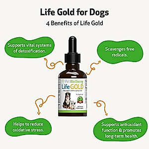 Pet Wellbeing Life Gold for Dogs - Vet-Formulated - Immune Support and Antioxidant Protection - Natural Herbal Supplement 2 oz (59 ml)
