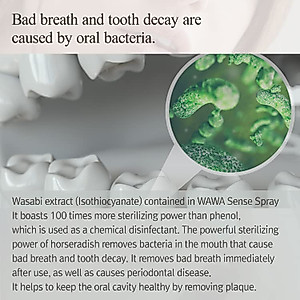 ROROBELL Wawa Sense Spray Oral Care Mouth Freshener Fights Bad Breath ((1/3 Fl Oz (Pack of 1)))