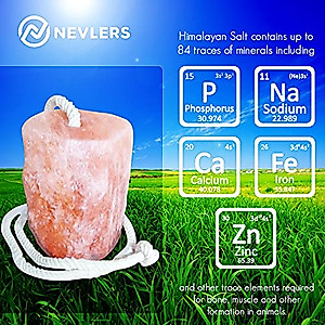 Nevlers 2 Pack Himalayan Salt Lick on Ropes for Animals -All Natural Pure Mineral Block - Himalayan Salt Block for Deer, Salt Block for Horses, Cows, & Other Livestock - 4.5-6 lbs Each