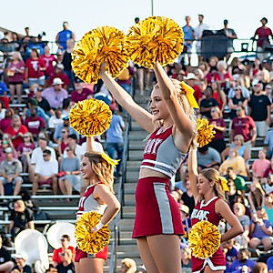 4Pcs Metallic Cheerleading Pom Poms, Creatiee 2 Pair Cheerleader Cheering Squad Pompoms for School Sports Dance Games Team Spirit Cheer (Gold)