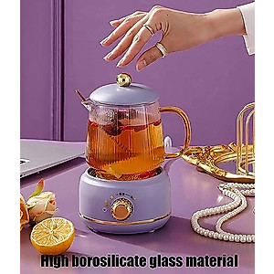 600ML Health Pot Household Multifunctional Glass Kettle Electric Tea Pot Hot Water Dispensers Electric Kettle Flower Teapot Automatic Electric Stew Bird's Nest Pot Stainless Steel B,600ML (Color : B