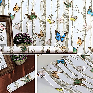 LIFAVOVY Peel and Stick Wallpaper Removable Sticker Wall Paper Decorative Colorful Butterfly Self Adhesive Shelf Liner Roll 17. 7 INCH x 32.8 FT