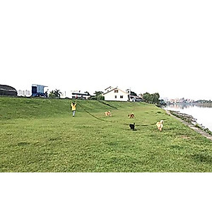 AmaGood Dog/Puppy Obedience Recall Training Agility Lead-15 ft 20 ft 30 ft 50 ft Long Leash-for Dog Training,Play,Safety,Camping (15 feet, Blue)