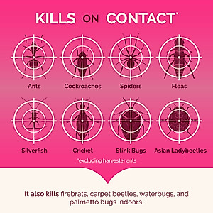 Hot Shot Ant, Roach, and Spider Killer, 20 oz, Fresh Floral Scent