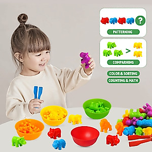 RAEQKS Counting Sorting Toys Matching Stacking Toys with Bowls Preschool Learning Activities Educational Sensory Game Montessori STEM Toy Daycare Sets Animals Gifts for Toddlers Kids Boys Girls