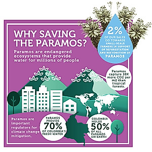 Good Chips Beet & Yacon - Crispy, Baked, No Oil, No Added Salt - Organic, High Fiber, Prebiotic Superfood - Healthy, Vegan Snack - 0.7 oz, Pack of 12