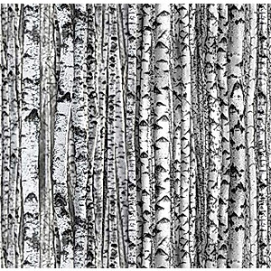 Tree Fabric Landscape Medley Birch Trees in Gray Premium Quality 100% Cotton Fabric by The Yard