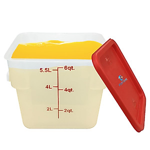 Fonteme Polypropylene Square Food Storage Container - 6 Qt | Translucent Plastic Food Container with Red Lid & Easy-to-Read Measurements | BPA-Free and Dishwasher Safe | Keeps Food Fresh and Safe