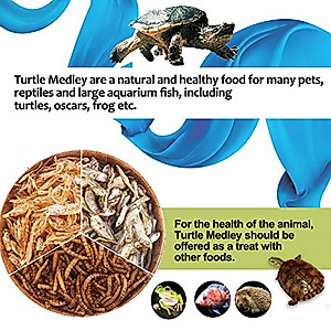 Amzey 2 Pack Aquatic Turtle Medley Treat Food, 3.7 Ounce Total - 100% Natural Aquarium Fish Food, High Protein Turtle Medley Food for Turtle, Aquatic Fishes, Newts and Frogs