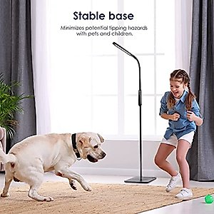 LED Floor Lamp, Laster Reading Standing Lamps with Remote and Touch Control for Living Room, Bedroom, Office with 4 Color Temperature & 4 Brightness Levels, 1H Timer & Memory Function