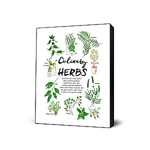 Culinary Herbs