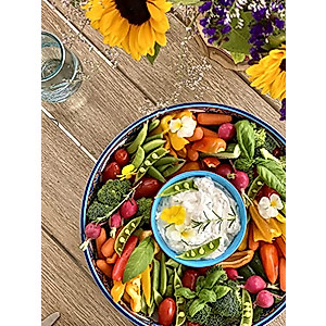 Euro Ceramica Zanzibar Chip and Dip Bowl, 2 Piece Set, Multicolor, 24 ounces