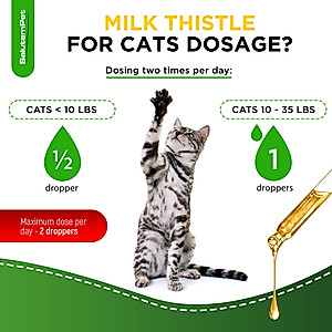 Сat Kidney Support | Milk Thistle for Cats | Kidney Support for Cats | Milk Thistle Cats | Cat Milk Thistle | Herbal Dietary Supplement | 2 Oz