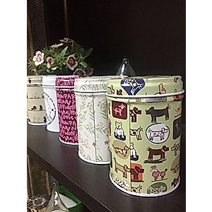 Leoyoubei 3.55x2.55 Inch Dry Storage Tinplate Caddy Box Retro Double Cover Home Kitchen Storage Containers Colorful Tins Round Tea Tins Set of 6 (shipped randomly)