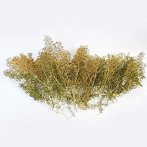 WWS War World Scenics WWScenics Seafoam Trees Box Mixed Size – Model Scenery