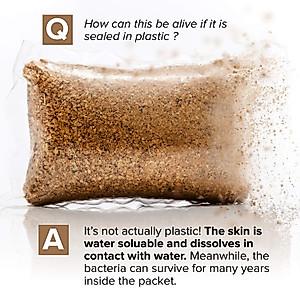 Septic Tank Treatment - 1 Year Supply of Dissolvable Easy Flush Live Bacteria Packets (12 Count) - Best Way to Prevent Expensive Sewage Backups - Made in USA